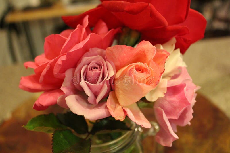 The color of roses stock photo. Image of reminds, proud - 123924422