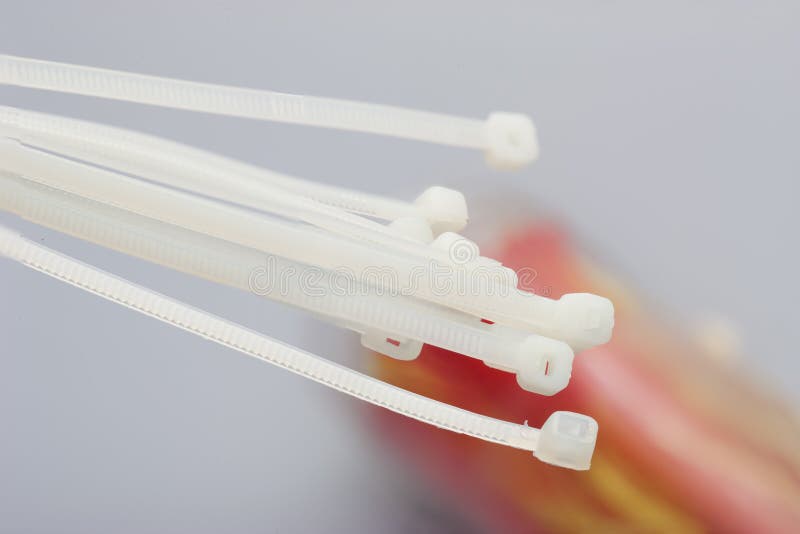 Screws for network cables stock photo. Image of white - 121588520