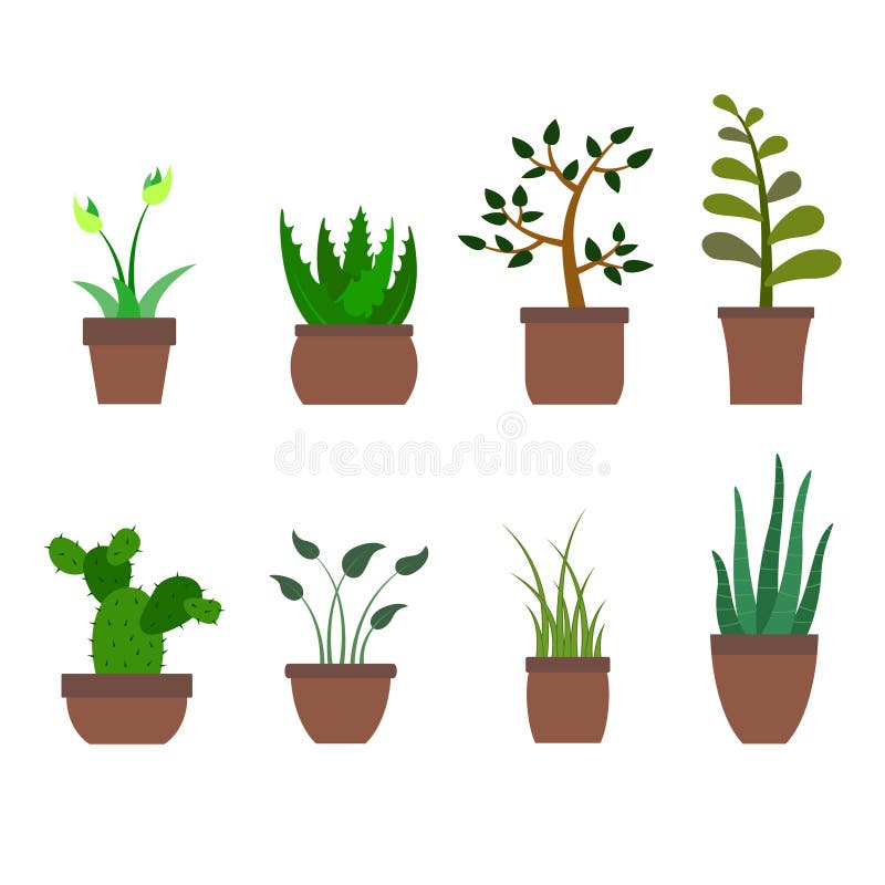 Color Set with House Plants Icons Stock Vector - Illustration of plant ...