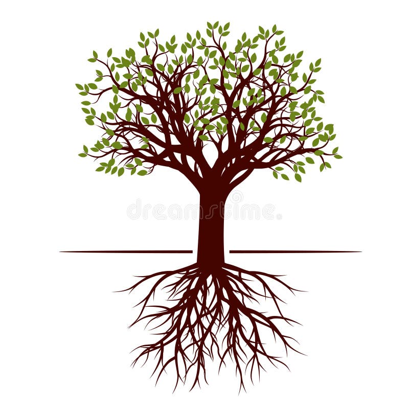 Shape of Tree with Leafs and Roots. Vector Illustration. Stock Vector ...