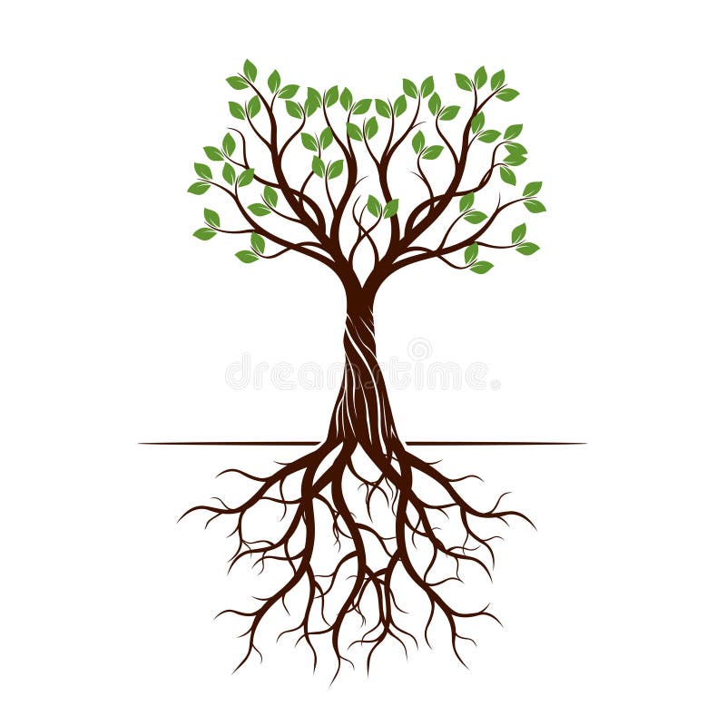 Color Shape of Tree with Roots. Vector Illustration Stock Vector ...