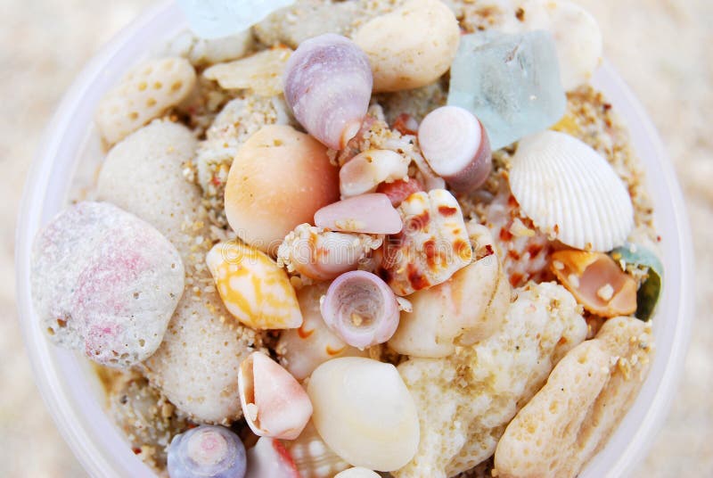 Color Shell Picture. Image: 21113473