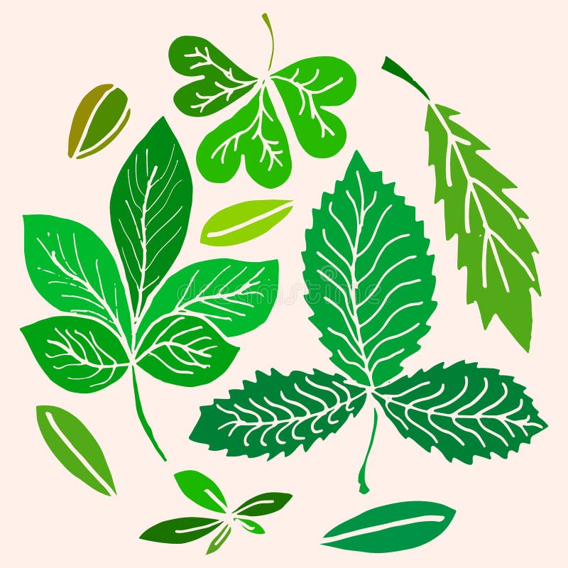 Color Simple Botanical Abstract Seamless Pattern Background Stock ...