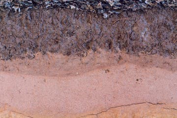 25,697 Underground Texture Stock Photos - Free & Royalty-Free Stock ...