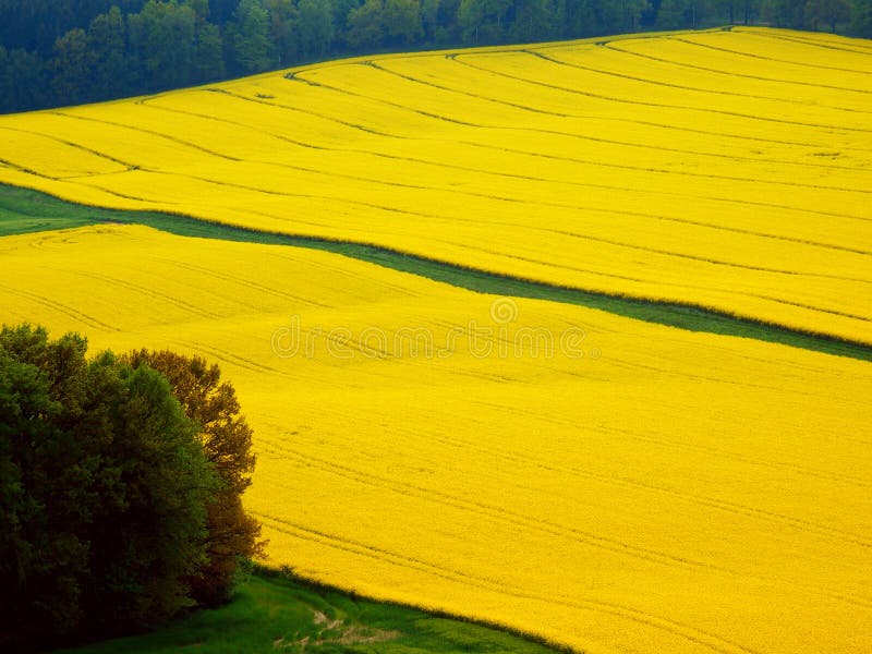 Color Spring Photography of Fields and Road from Aerial View Stock ...