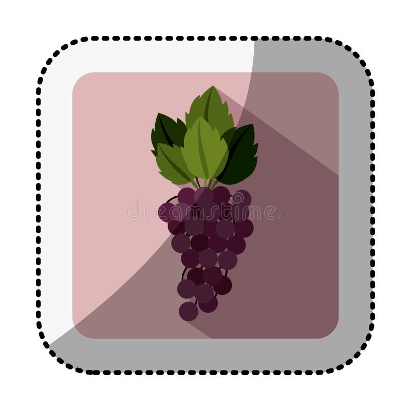 Color Square with Middle Shadow Sticker with Grapes Fruit Stock Vector ...