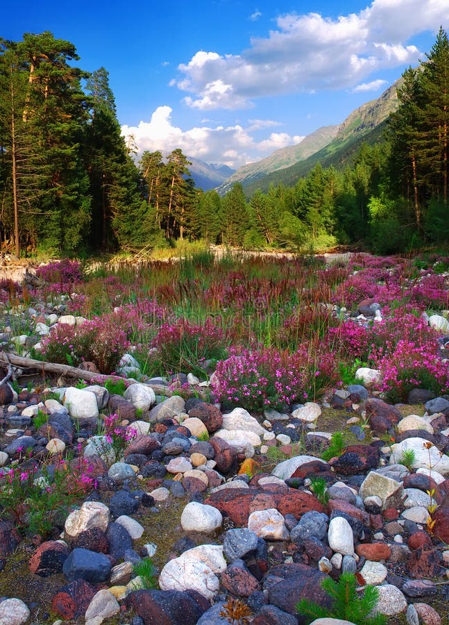 Juneau,capital of Alaska stock image. Image of landscape - 42998959