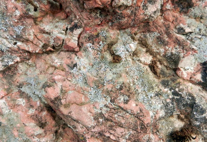 Color stone texture stock photo. Image of mottled, surface - 51369394