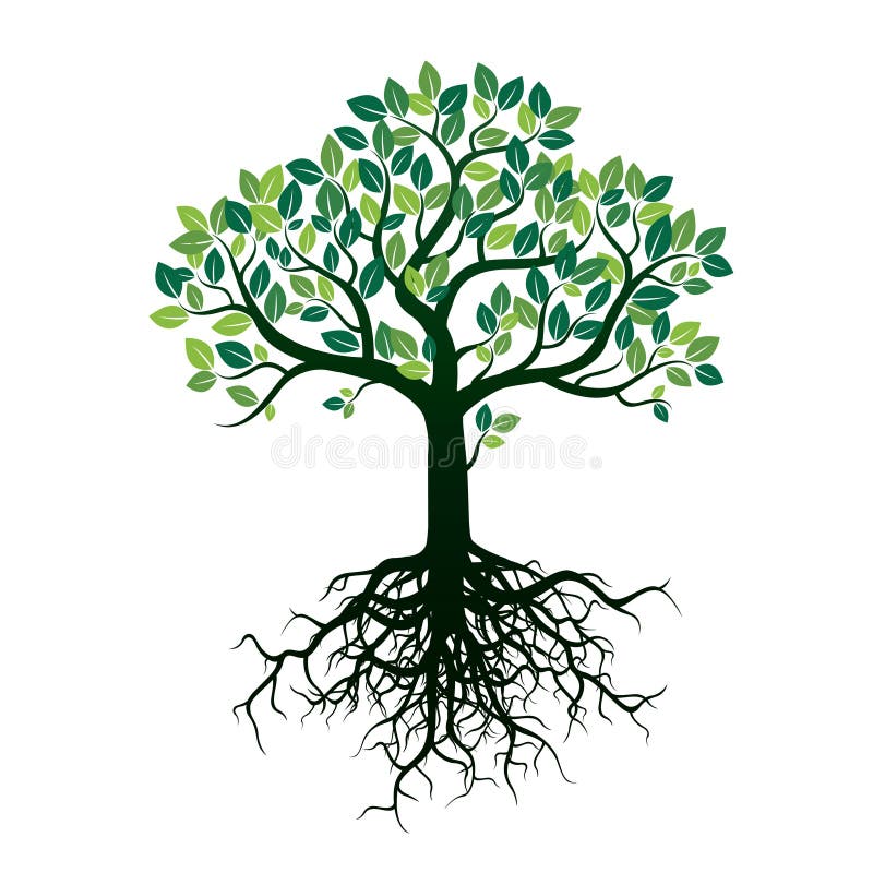 Tree with the Roots Vector Illustrations Stock Vector - Illustration of ...
