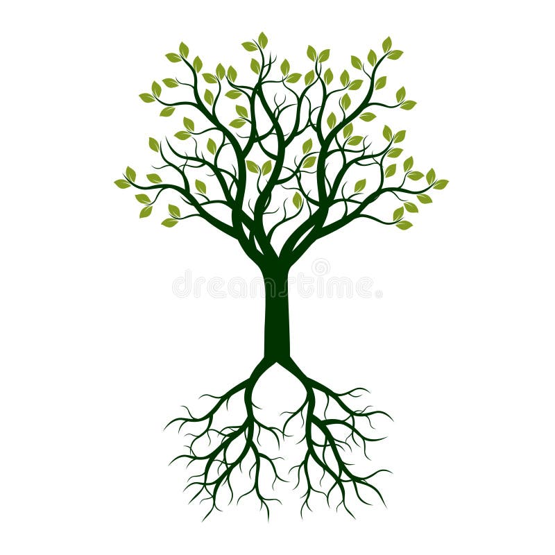 Color Tree and Roots. Vector Illustration Stock Illustration ...
