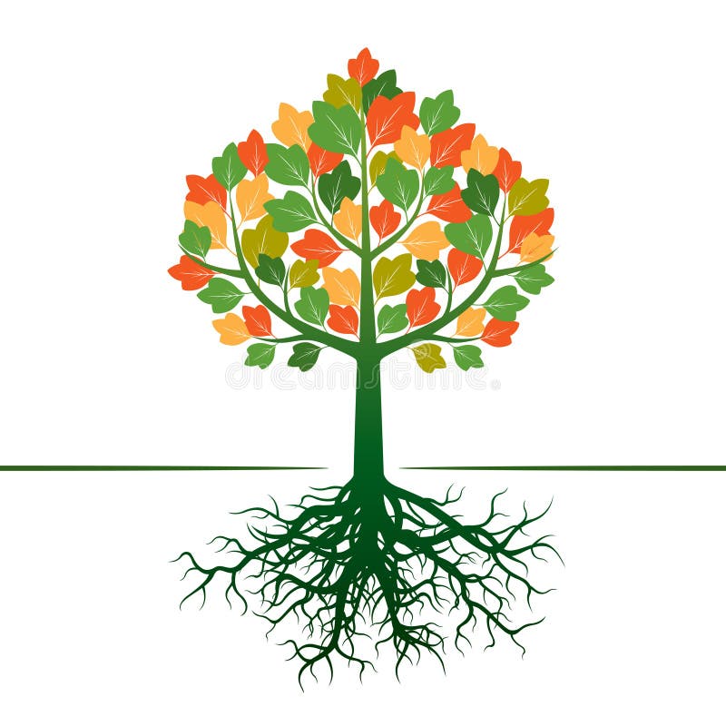 Color Tree and Roots. Vector Illustration Stock Illustration ...