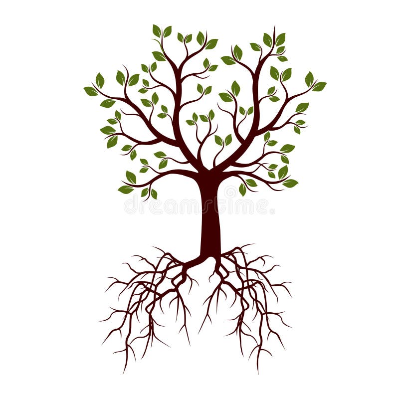 Color Tree and Roots. Vector Illustration Stock Illustration ...