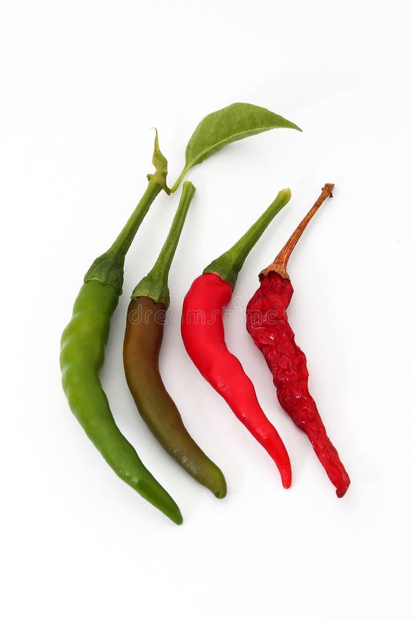 Color Variations of Chili or Capsicum Spp with a White Background Stock ...