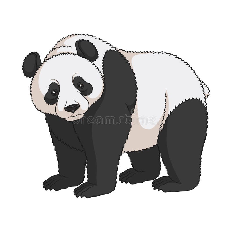 Spotty Panda Stock Illustrations – 9 Spotty Panda Stock Illustrations ...