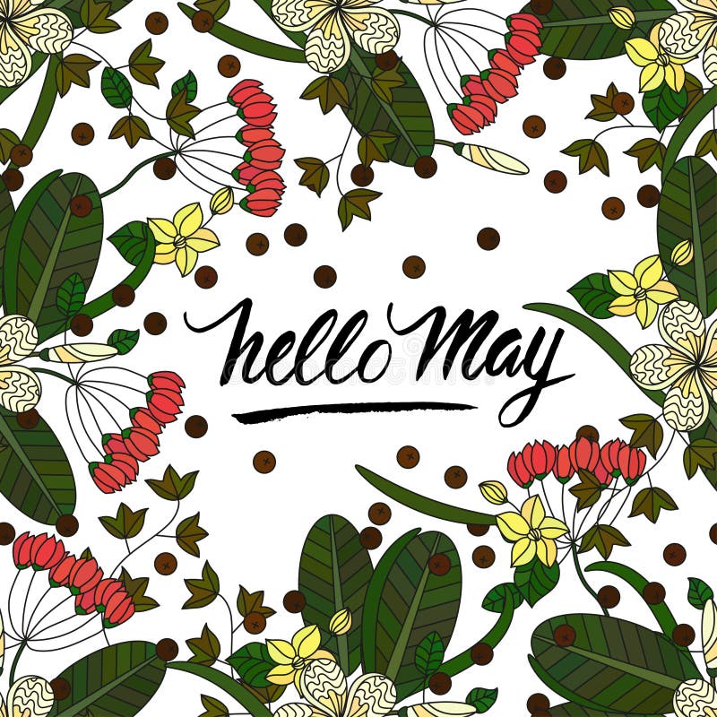 Color Vector Postcard with Unique Script Brush Lettering. Hello May ...