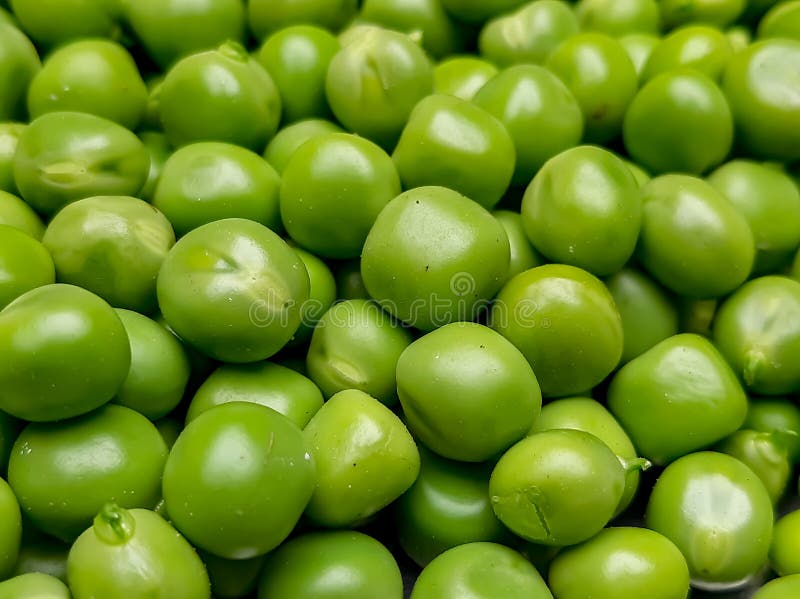 Color Verde Natural Y Comida Imagen de archivo - Imagen de cubo ...