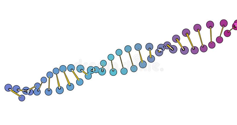 Dna Rotation Stock Illustrations – 406 Dna Rotation Stock Illustrations ...