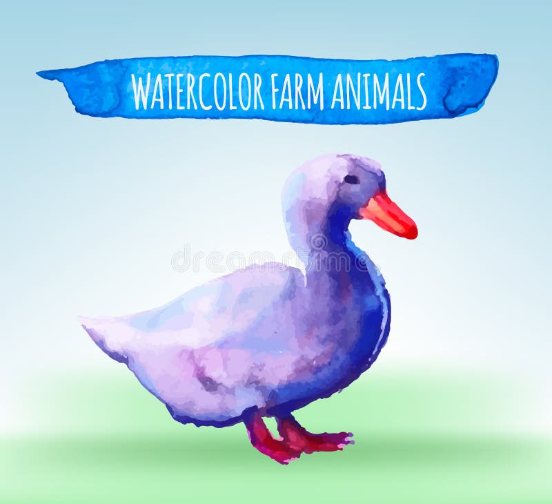 Color watercolor duck stock vector. Illustration of handwork - 54472880