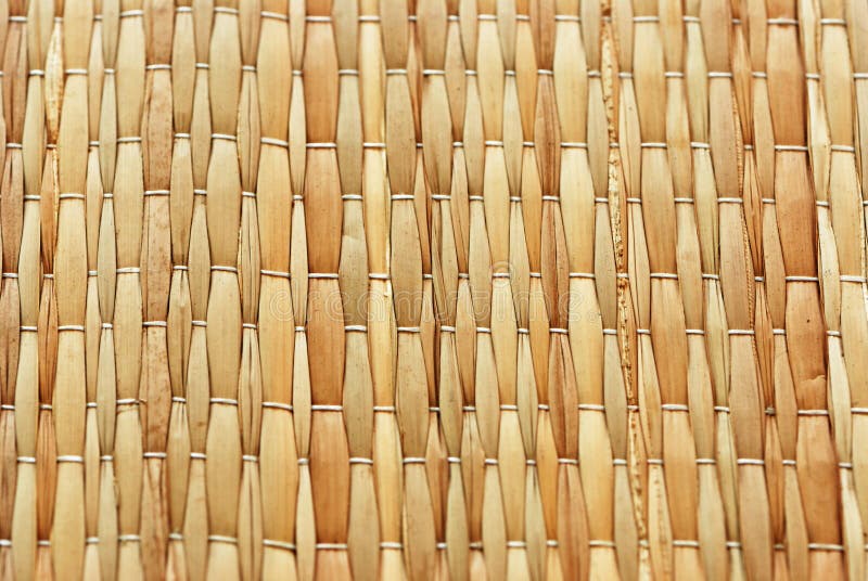 Reed texture stock illustration. Illustration of indigenous - 18169658