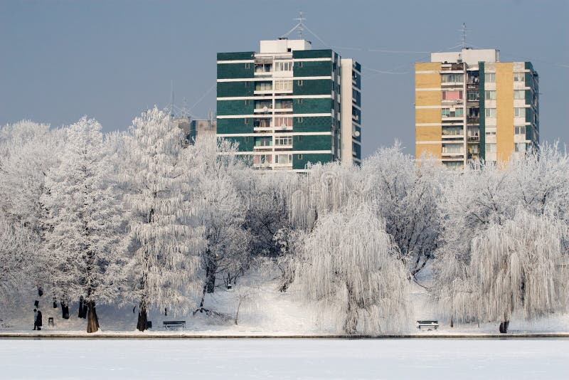 Color winter stock photo. Image of frozen, snowy, environment - 7412026