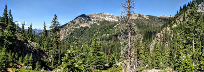 Colorado berg fotografering för bildbyråer. Bild av grön - 54826341