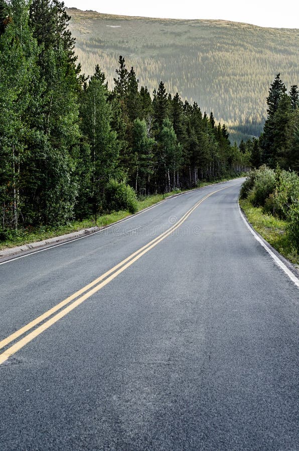 Colorado Highway Lined with Trees. Stock Photo - Image of driving ...