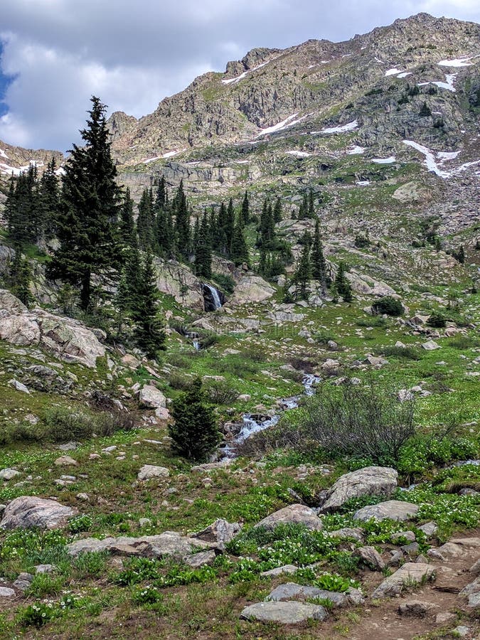 Colorado landscape stock photo. Image of vegetation, conifer - 95930706