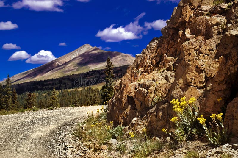 Colorado Mountain Pass Road and Wildflowers Stock Photo - Image of ...