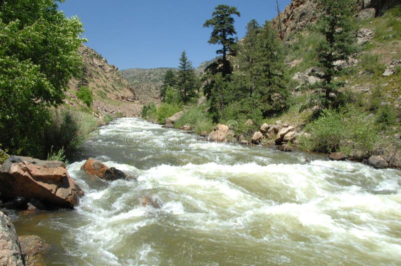 Colorado Mountain Stream 15 Stock Image - Image of green, mountain: 5604113