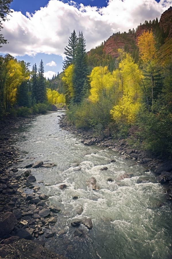 Mountain stream in fall stock image. Image of forest - 28702029