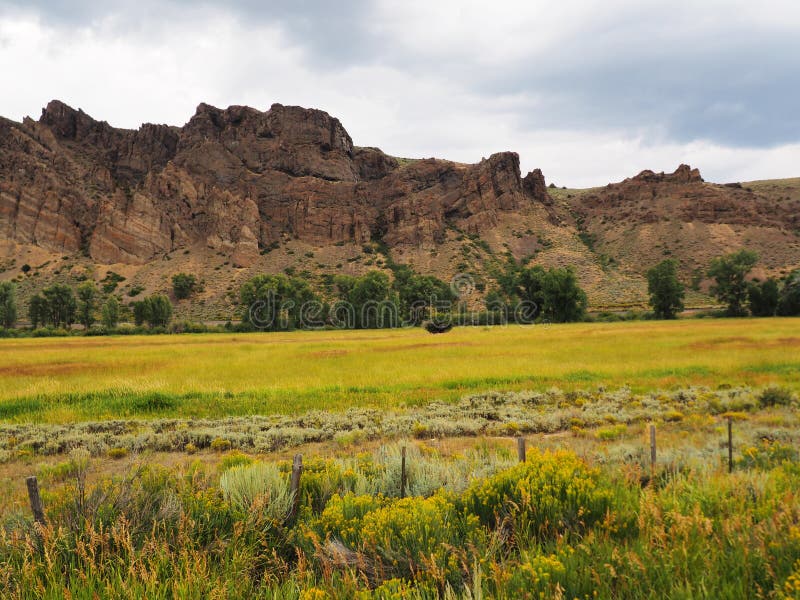 Colorado Mountains and Prairie Stock Photo - Image of meadow, scenic ...