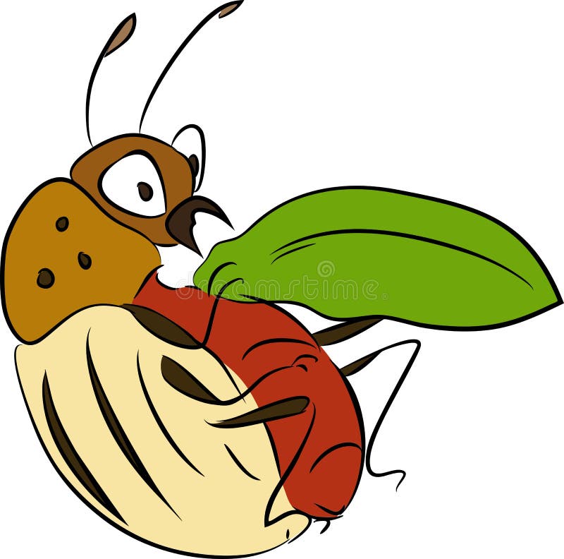 Colorado Potato Beetle Cartoon Stock Illustrations – 321 Colorado ...