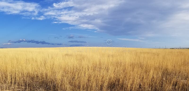 Colorado Prairie High Plains Summer Stock Photo - Image of summer ...