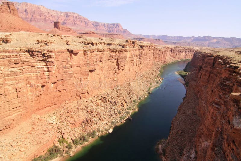 Roadrunner stock photo. Image of river, trail, wildlife - 3843718