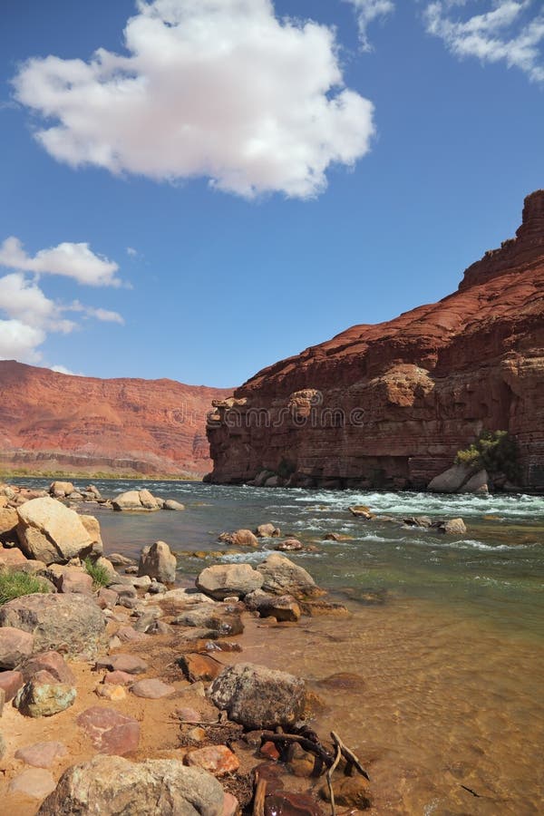 The the Colorado River in the Red Rocks Stock Photo - Image of scene ...