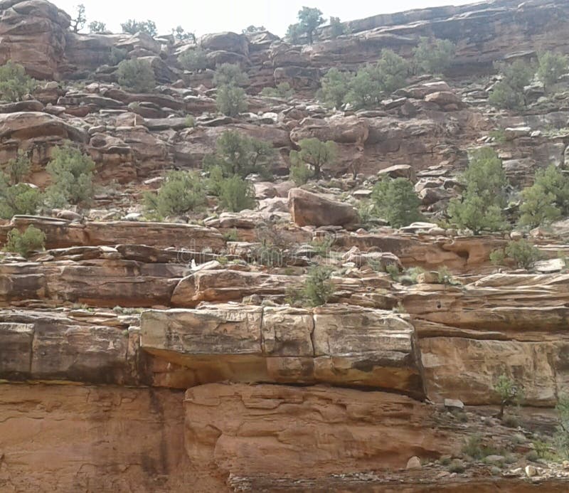 Colorado stock image. Image of nature, wall, love, colorado - 131247205