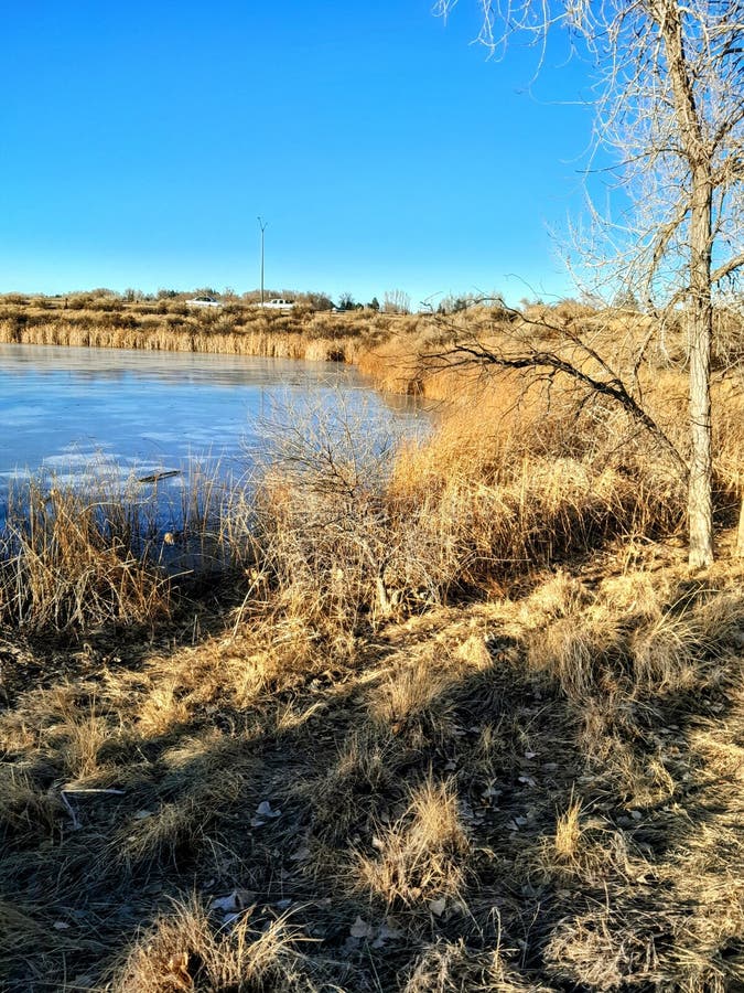 Colorado Rustic Nature Trail beside a Pond Stock Photo - Image of ...