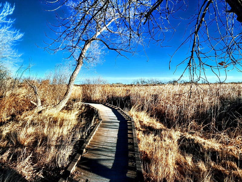 Colorado Scenic Winter Rustic Path Stock Image - Image of beauty, field ...