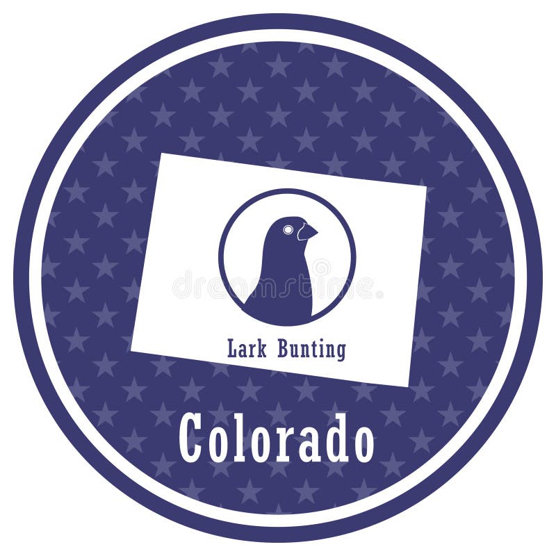 Lark Bunting Bird Stock Illustrations – 34 Lark Bunting Bird Stock ...