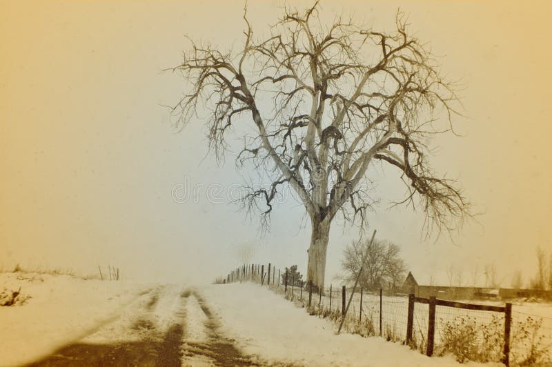Colorado Storm in the Morning Stock Image - Image of morningn, colorado ...