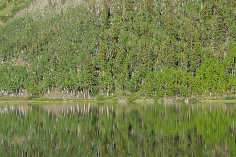 Colorado Wilderness Lake Reflection Stock Photo - Image of colorado ...
