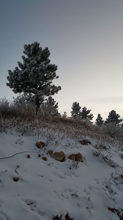 Colorado Winter Snow stock image. Image of nature, reflection - 229087113