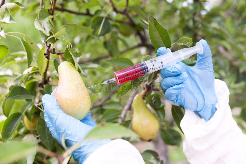 Colorante Artificial De La Fruta Foto de archivo - Imagen de rojo ...