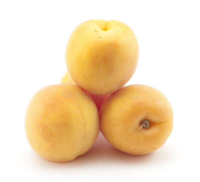 Giallo albicocca immagine stock. Immagine di arancione - 14733769