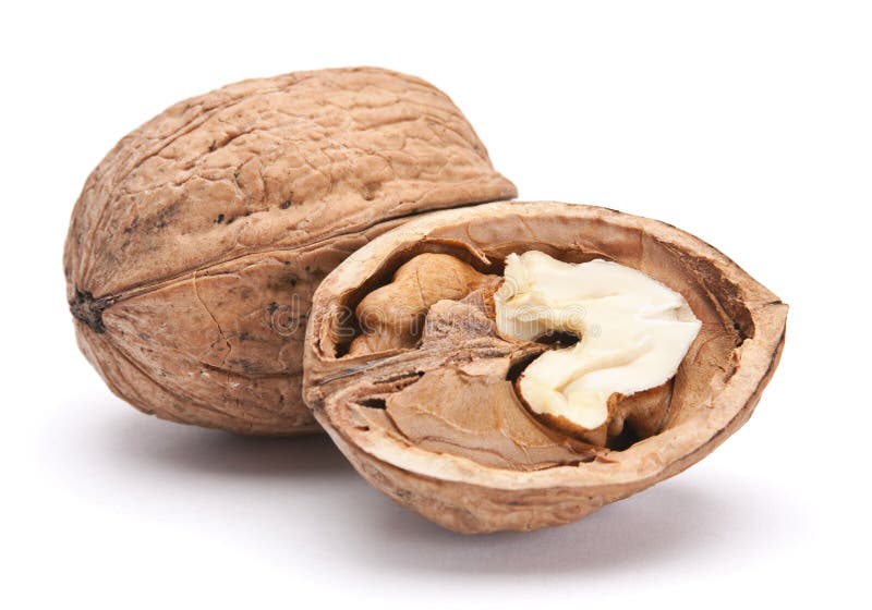 Colore marrone della noce immagine stock. Immagine di bianco - 16684581