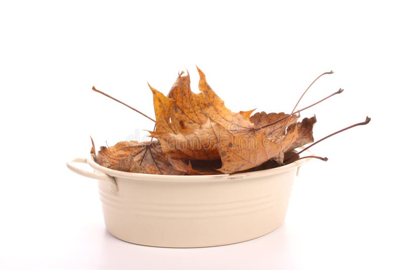 Levef Stock Photos - Free & Royalty-Free Stock Photos from Dreamstime