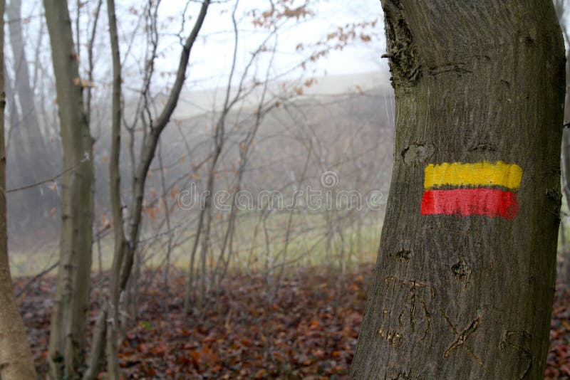 Colored Band Sign on a Tree Stock Photo - Image of outdoor, path: 37666440