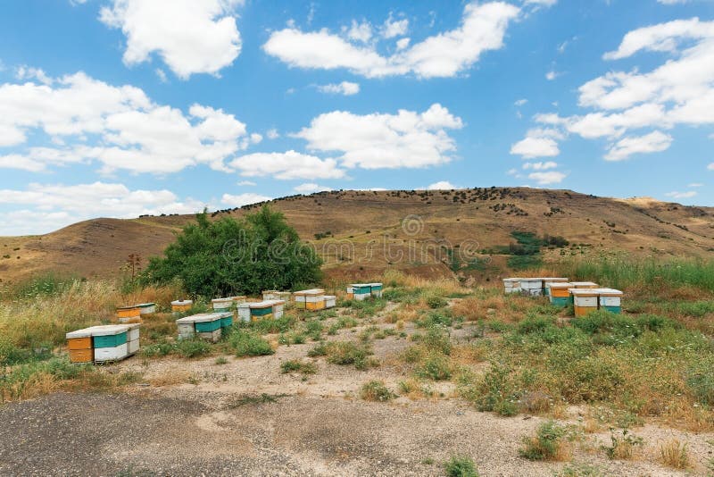 Colored Beehives on the Golan Heights Stock Image - Image of ...