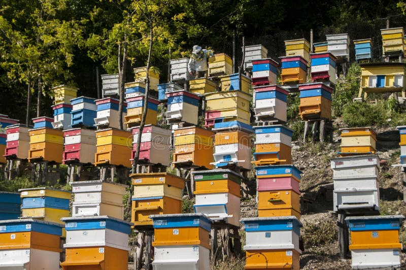 Colored beehives on slope stock image. Image of animal - 40585211