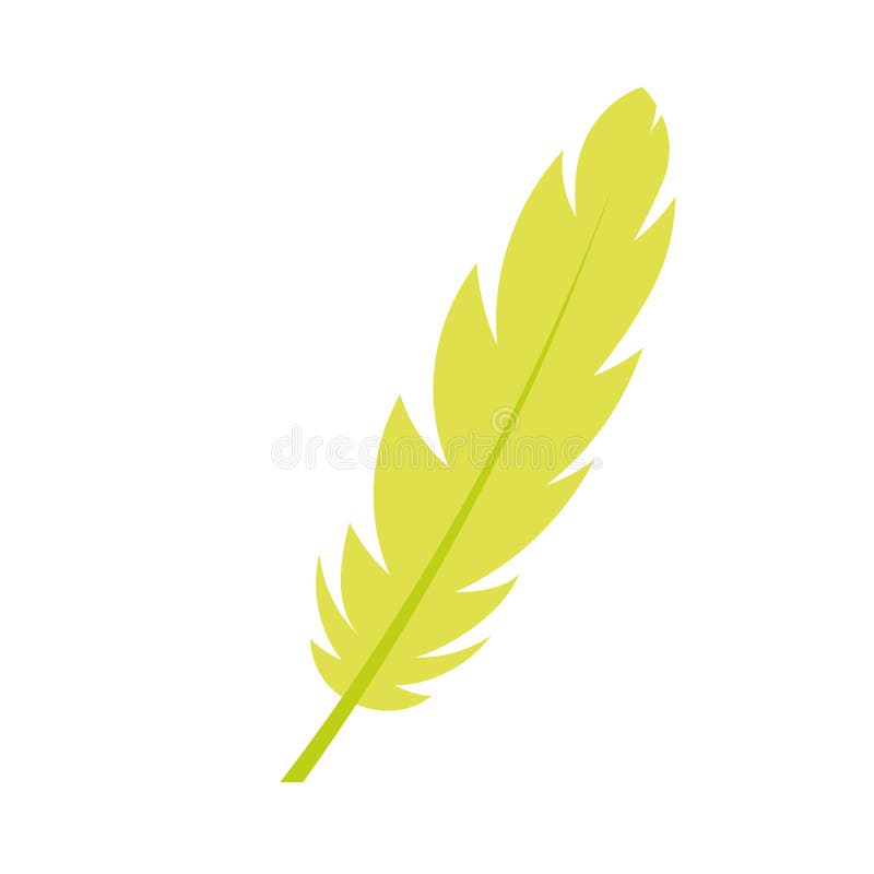 Colored Bird Feather Decorative Object Vector Stock Vector ...